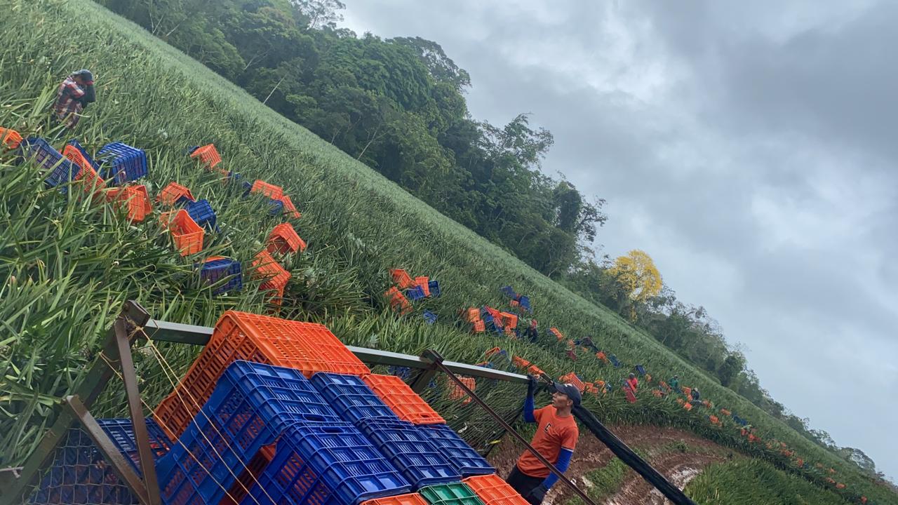 Buy farm Costa Rica Buy a Farm in Costa Rica - Farm Investment